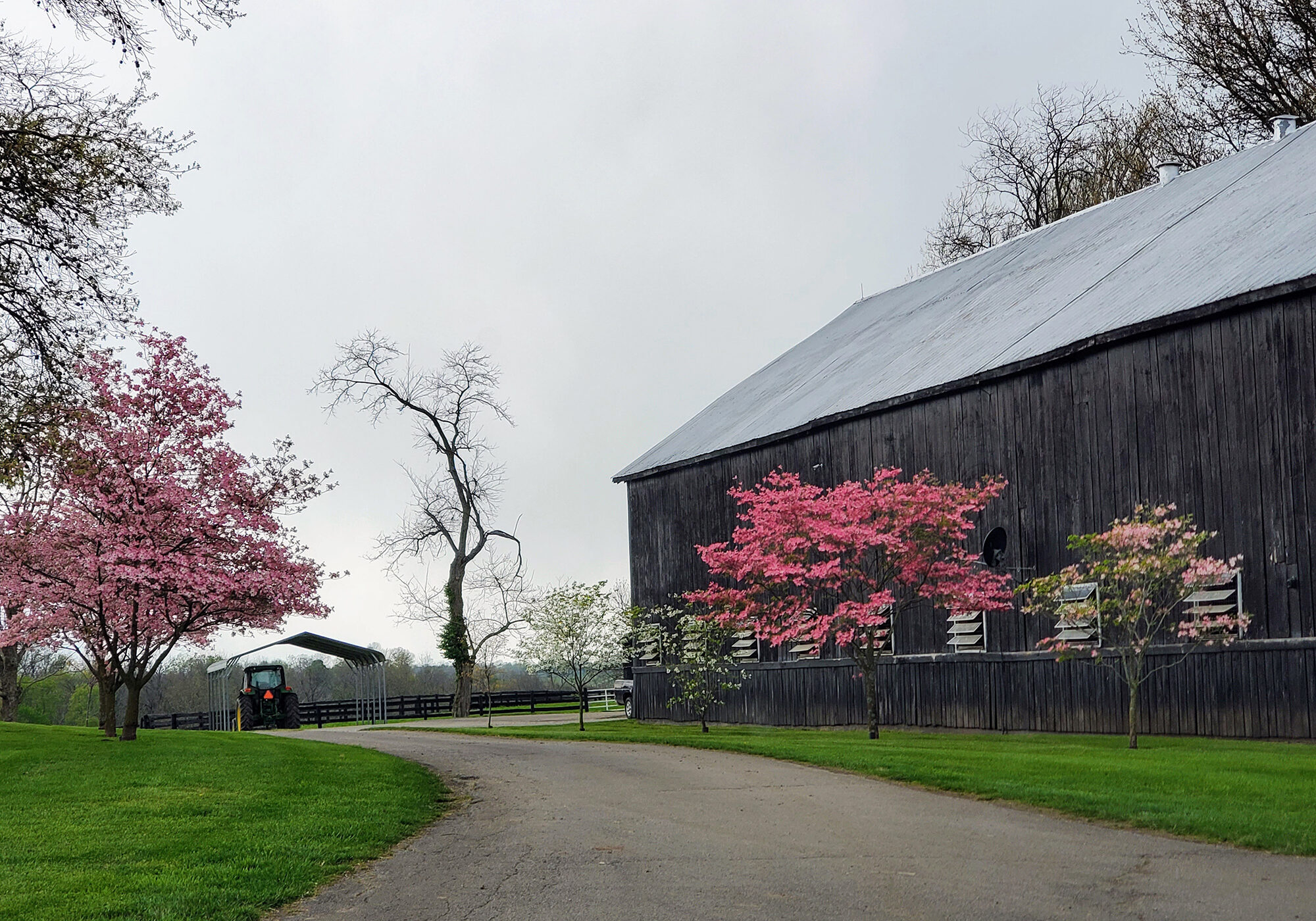 About Rose Hill Farm – Rose Hill Farm